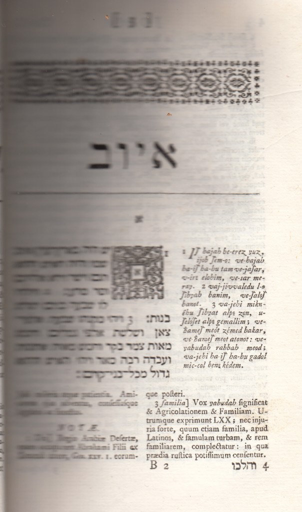The book of Job (Iyov) – Liber Jobi in versiculos metrice divisus ...